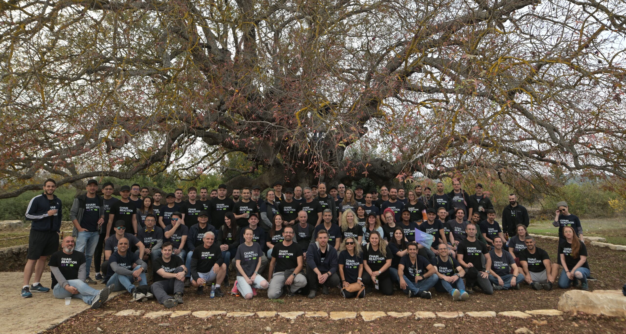 Chain Reaction chainreaction